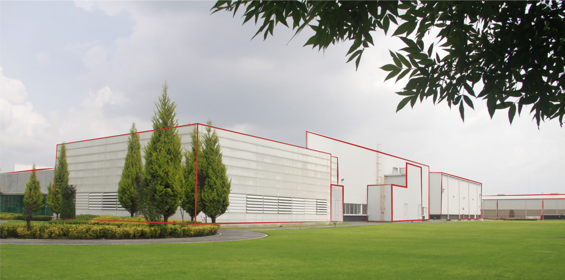 Silanes | Contenido Médico